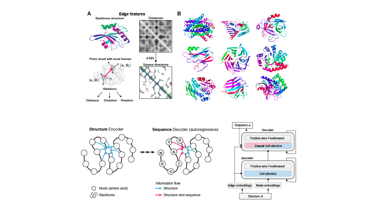 Welcome to the exciting world of proteins! - YaiYai
